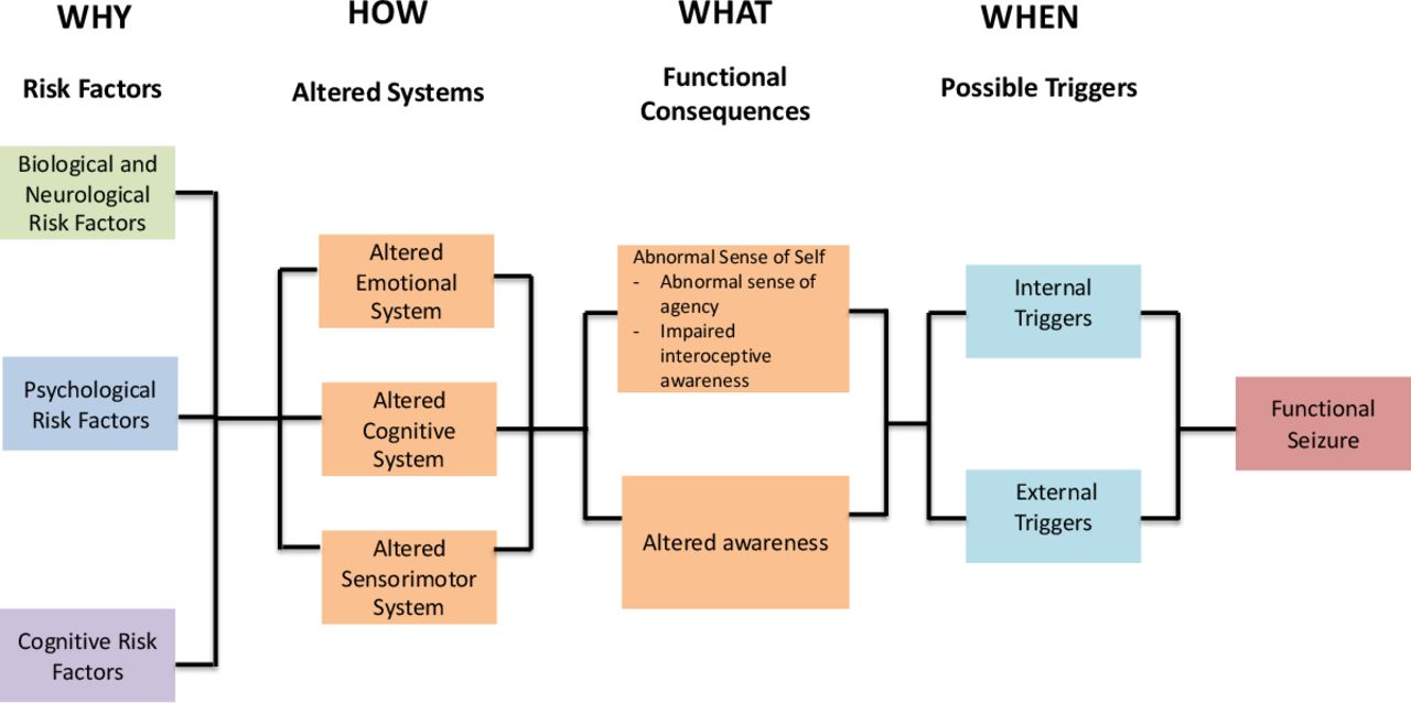 Functional (psychogenic non-epileptic/dissociative) seizures: why and ...